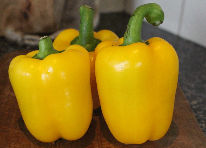 Gele paprika (1 st) | Edwin Rustenburg